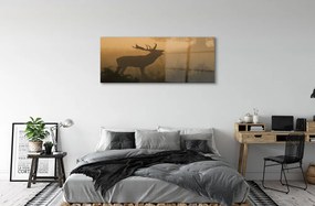akrylový obraz jelen sunrise 120x60 cm