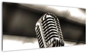 Obraz mikrofonu (100x40cm)