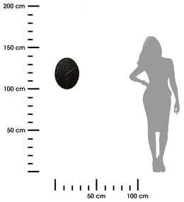 Nástěnné hodiny s vlhkoměrem a teploměrem Oval, černá/zlatá