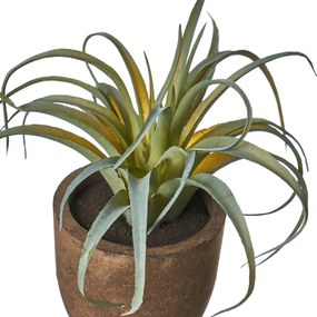 Umělé rostliny v sadě 4 ks (výška 10 cm) Cactus – Casa Selección