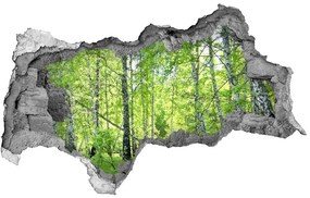 Wallmuralia Samolepící díra nálepka Břízový les 95x73 cm