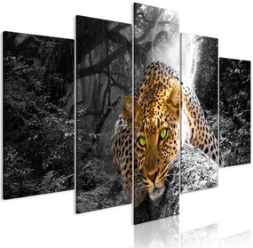 Obraz - Leopard Lying (5 Parts) Wide Grey