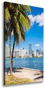 Wallmuralia Vertikální Foto obraz tištěný na plátně Miami 50x100