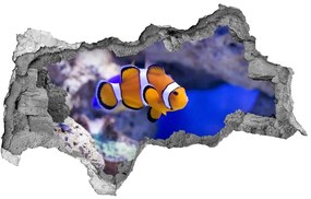 Wallmuralia Díra 3D fototapeta Korálový útes 95x73 cm