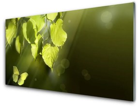 Obraz na skle Listy Slunce Paprsky 100x50 cm