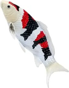 Mojo Kapr koi showa sanshoku / od 3 let