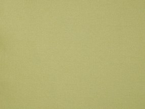 Polštář 45 x 45 cm zelený CHMISTAR Beliani