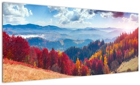 Obraz podzimní přírody (100x40cm)