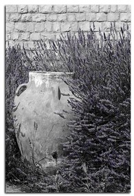 Obraz na plátně - Amfora v levandulovém keři - obdélník 769FA (90x60 cm  )