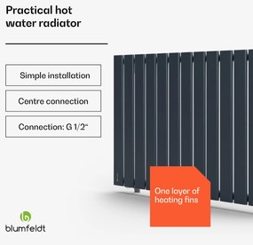Blumfeldt Ontario, radiátor, 100 x 60, 1/2" boční připojení, montáž na stěnu, 681 W