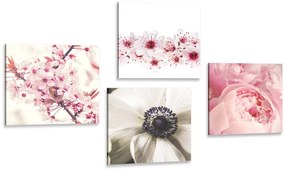 Set obrazů jemnost květin Varianta: 4x 60x60