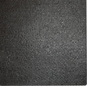 Rohožka před dveře přírodní 50 x 80 cm kokosové vlákno 155600