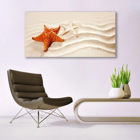Plexisklo-obraz Hvězdice na Písku Pláž 120x60 cm
