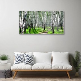 Obraz na skle Stromy Tráva Příroda 140x70 cm