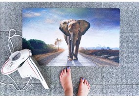 Rohožka - Elephant, 45x75 cm
