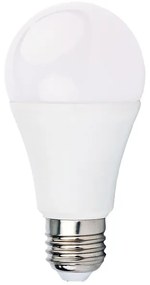 10x LED žárovka ecoPLANET - E27 - A60 - 15W - 1500Lm - studená bílá