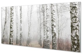 Obraz na skle mlha bříza 140x70 cm
