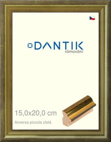 DANTIK rámeček 15x20 | ANIVERSA piccola zlatá (Sklo Čiré)