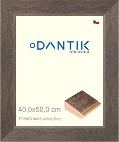 DANTIK rámeček 40x50 | TOMAS šedá velká (Plexi Čiré)