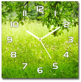 Wallmuralia Skleněné hodiny na stěnu Zelená louka 30x30 cm