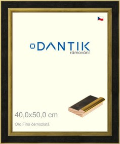 DANTIK rámeček 40x50 | Oro Fino černozlatá (Sklo Čiré)