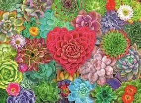 Ravensburger Puzzle: Sukulentní ráj / 500 dílků / od 12 let