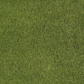 LANO Umělá tráva EASY LAWN DAISY BARVA: Zelená, ŠÍŘKA: 2 m