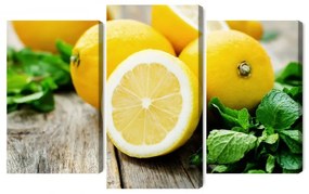 Vícedílný obraz Citron S Mátou Nedostatek Nedostatek Přírodní plátno 90x60