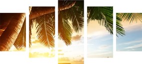 5-dílný obraz východ slunce na karibské pláži Varianta: 200x100