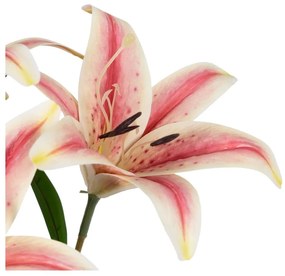 Umělá květina (výška 58 cm) Lily – Ixia