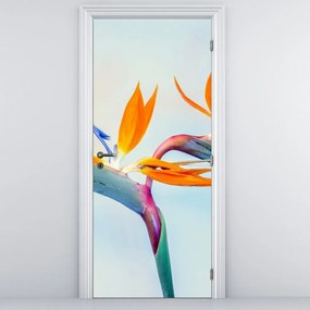 Fototapeta na dveře - Květy Strelície (95x205cm)