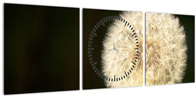 Obraz šedé pampelišky (s hodinami) (90x30 cm)