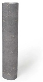 A.S. Création | Vliesová tapeta na zeď Titanium 3 38195-2 | 0,53 x 10,05 m | zlatá, šedá