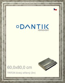 DANTIK rámeček 60x80 | TRITON široký stříbrný (Plexi Čiré)