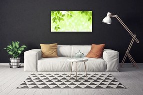 Obraz na plátně Listy Příroda Rostlina 125x50 cm