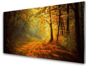 akrylový obraz Les Cestička Stromy Příroda 100x50 cm
