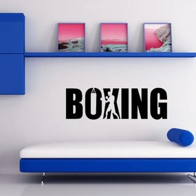Samolepka Boxing