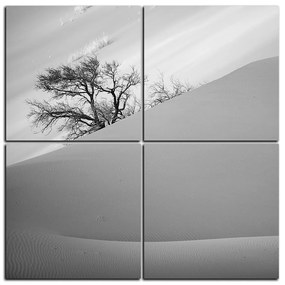 Obraz na plátně - Červené písečné duny - čtverec 3133QE (60x60 cm)
