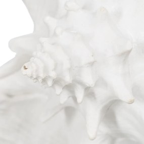 Soška z polyresinu (výška 13 cm) Seashell – Ixia