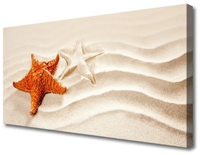 Obraz na plátně Hvězdice na Písku Pláž 100x50 cm