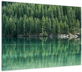 Skleněný obraz - Jehličnany u jezera (70x50 cm)