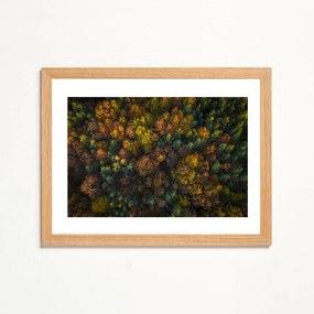 Vojta Herout | Nothing But A Forest Rám: Černý, Velikost: 30 x 40 cm