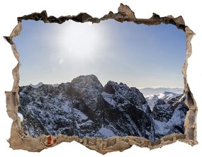 Wallmuralia Nálepka fototapeta 3D výhled Zima v Tatrách 95x64 cm