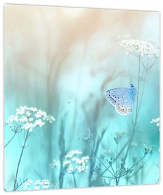 Obraz - Motýlek v modrém (30x30 cm)