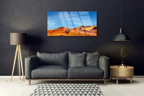 Plexisklo-obraz Poušť Krajina 100x50 cm