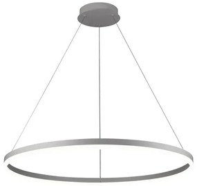 Brilagi -LED Stmívatelný lustr na lanku CIRCLE LED/55W/230V 3000-6500K stříb.+DO