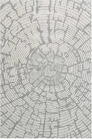 TZ Šedý obdélníkový koberec Strado Polo Star s dřevěným vzorem Rozměr: 120x170 cm