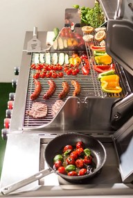 Plynový gril Florida BBQ Premium line G21 6390350