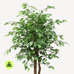 Umělý Ficus Zelený 180 cm