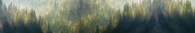 DIMEX | Fototapeta do kuchyně Zamlžený les KI-350-194 | 350 x 60 cm | zelená, černá, šedá